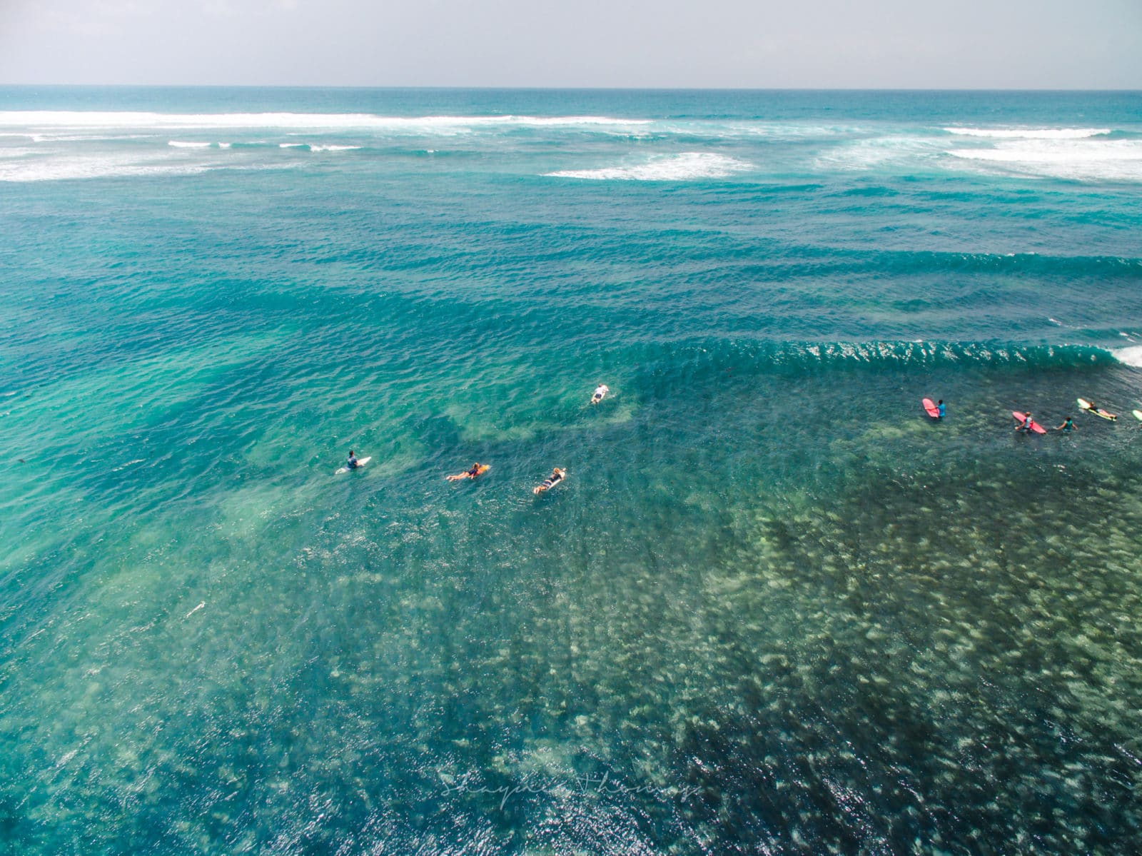 Learn how to surf in Zanzibar - Join us on our surf camp