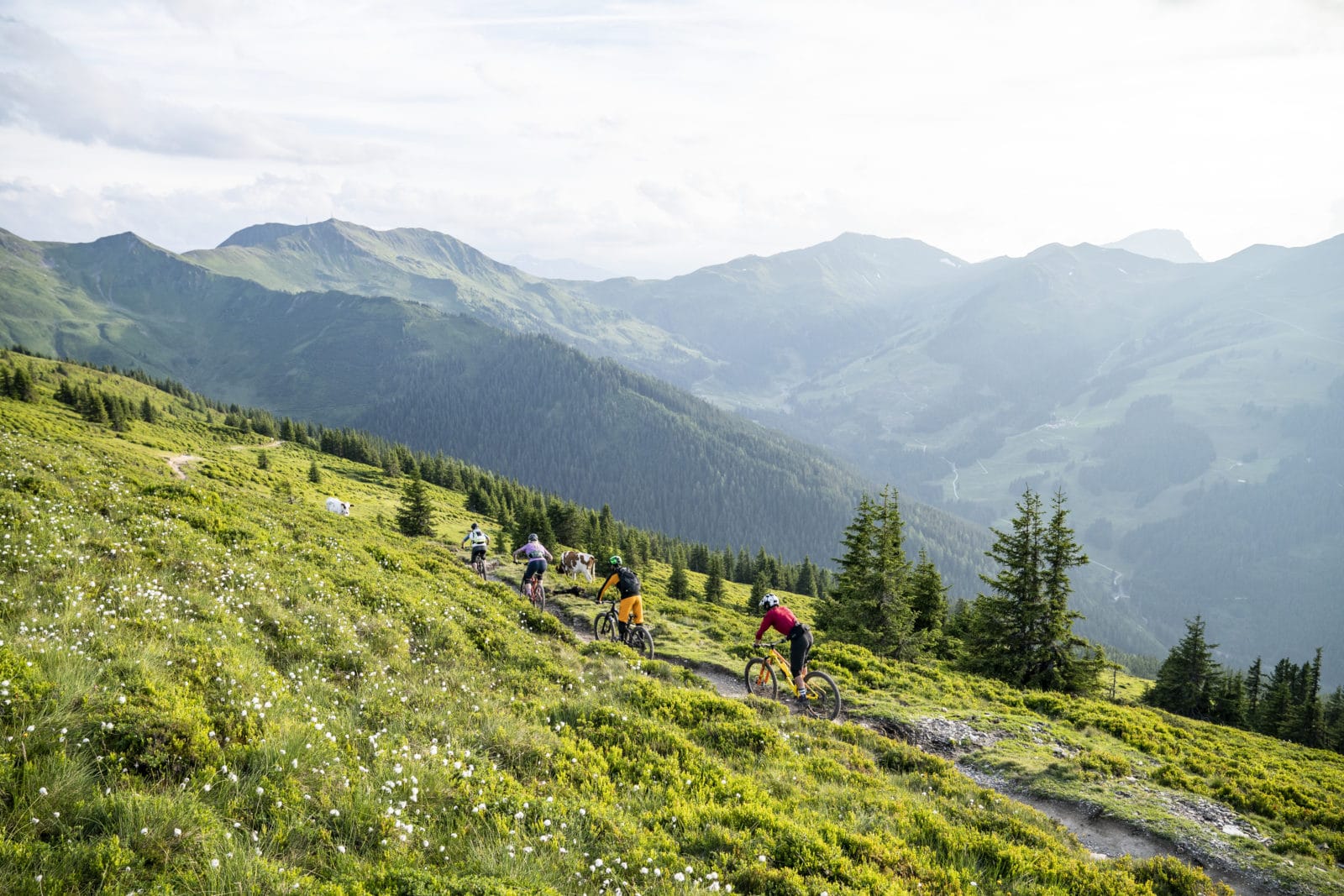 Family vacation in the Austrian mountains, for everyone!