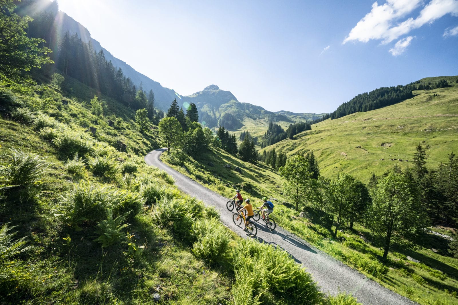 Family vacation in the Austrian mountains, for everyone!