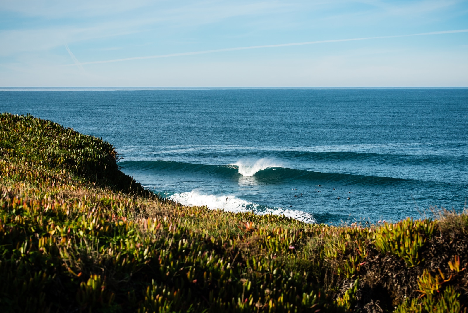 The Search - The ultimate surf roadtrip - DBP Adventures