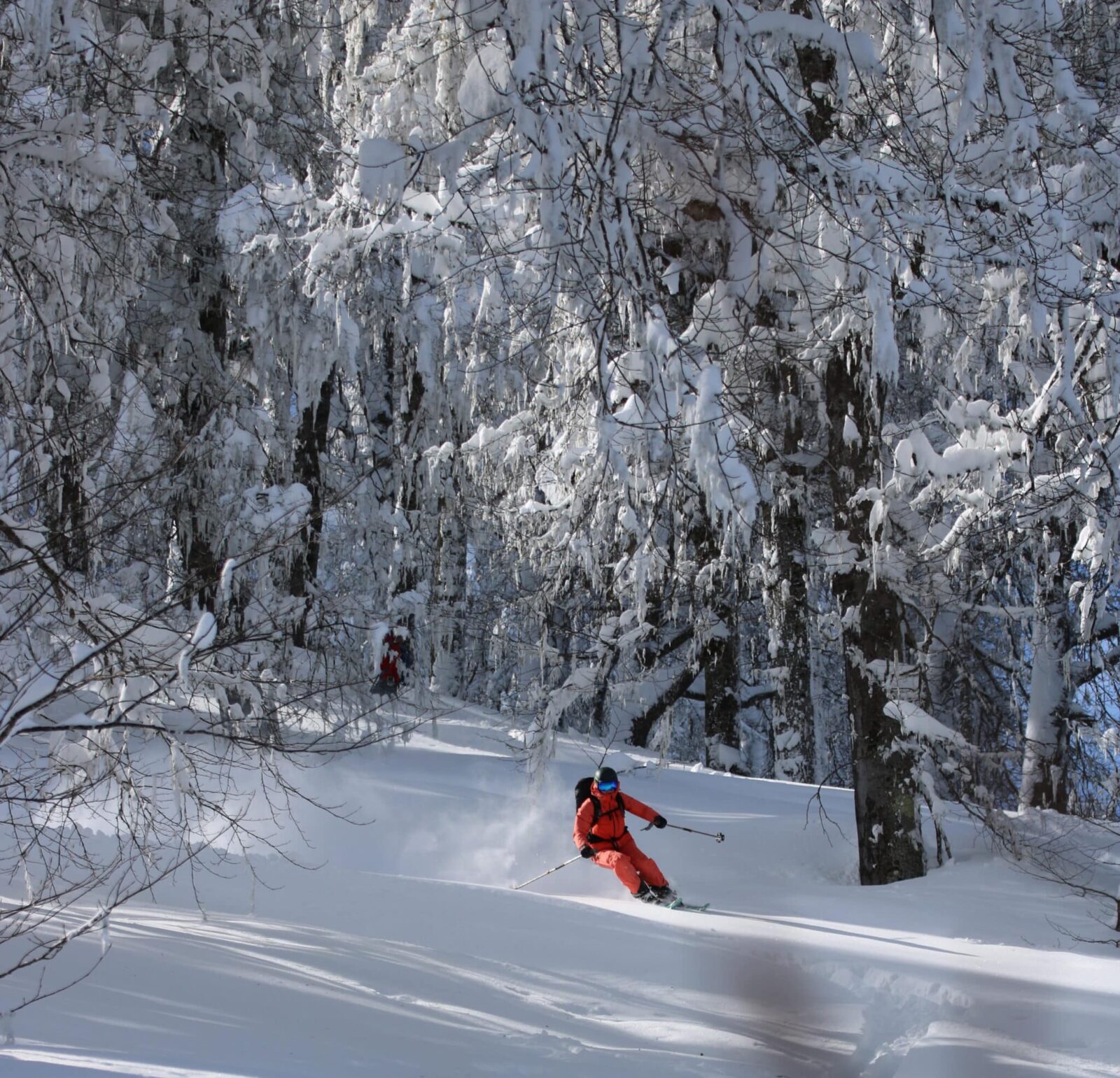 Ski touring and Backcountry skiing in the alps of Slovenia